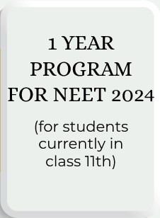 1 year program for NEET 2024 - Trigya Eduventure - JEE | NEET | Foundation